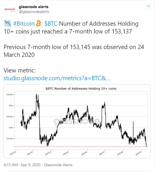 Number of Bitcoin Wallets Storing 10+ BTC Sees Major Drop as BTC Is ...