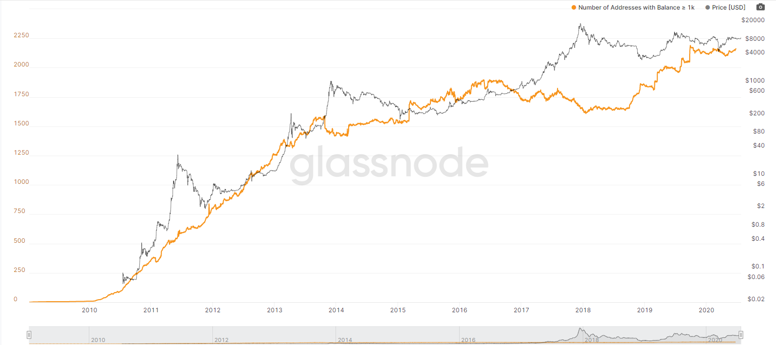 Number of Bitcoin Wallets with 1,000+ BTC Hits 9-Month High: Glassnode ...