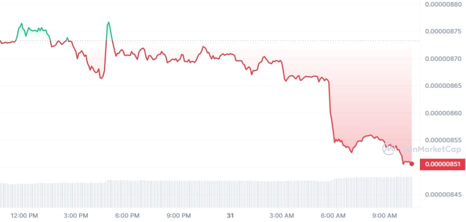 Shiba Inu (SHIB) Growth Markers Plunge to Zero, Should Community Be ...