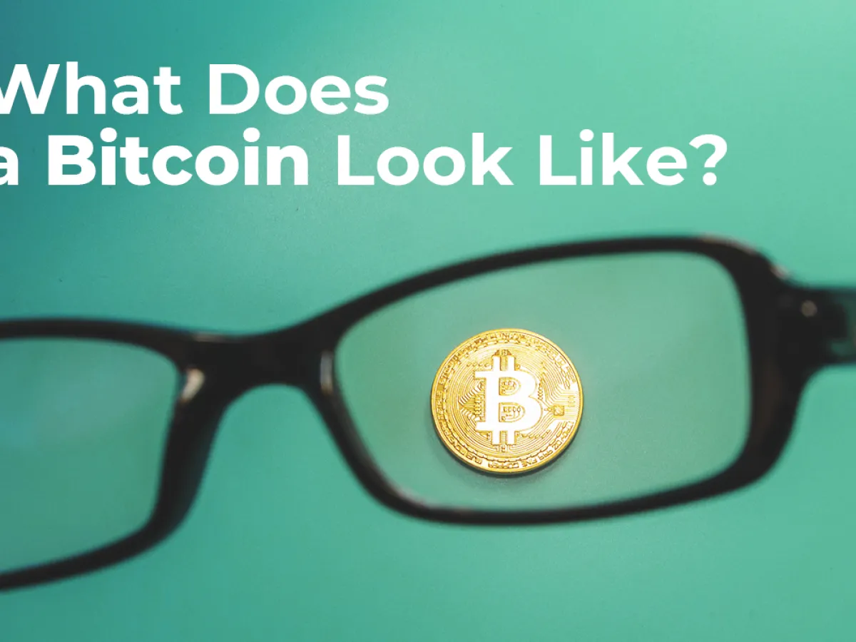 What Does a Bitcoin Look Like? A Detailed Insight into the Technology ...