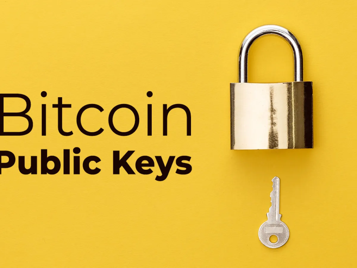 Your Bitcoin (BTC) Public Keys May Be Disclosed by Countries. Here’s How