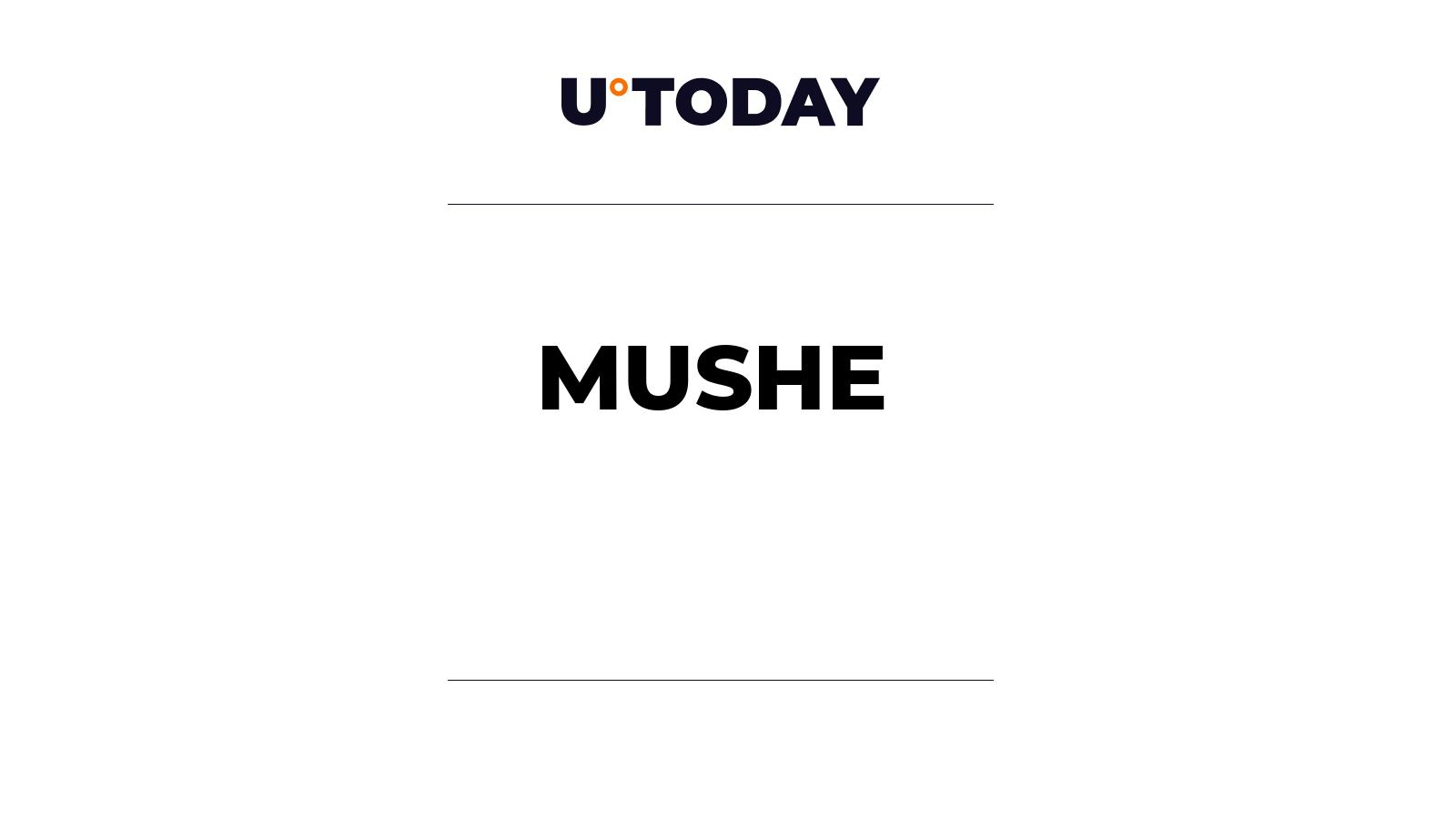 Mushe