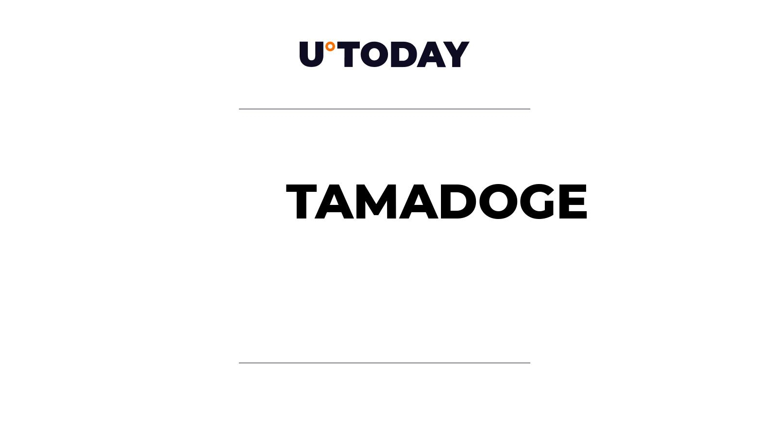 Tamadoge