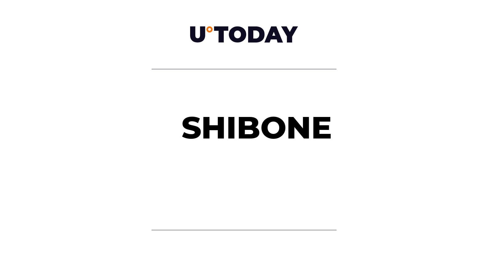 SHIBONE