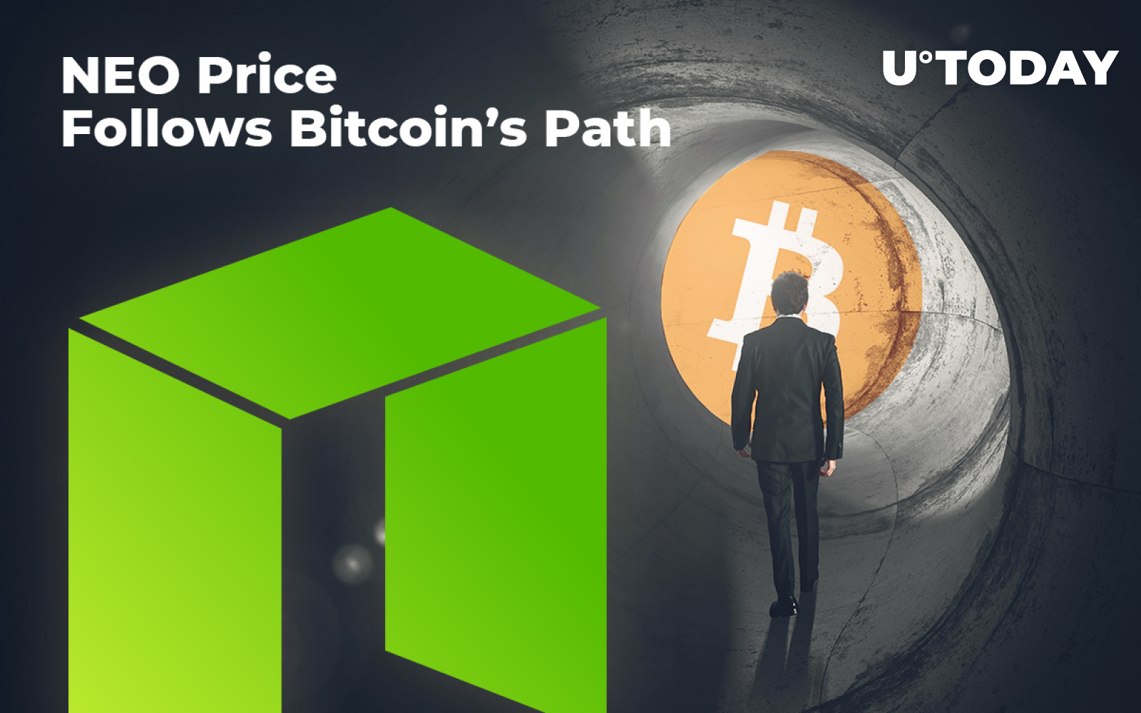 NEO Price Follows Bitcoin’s Path: Chances of Reaching $25 During Summer ...