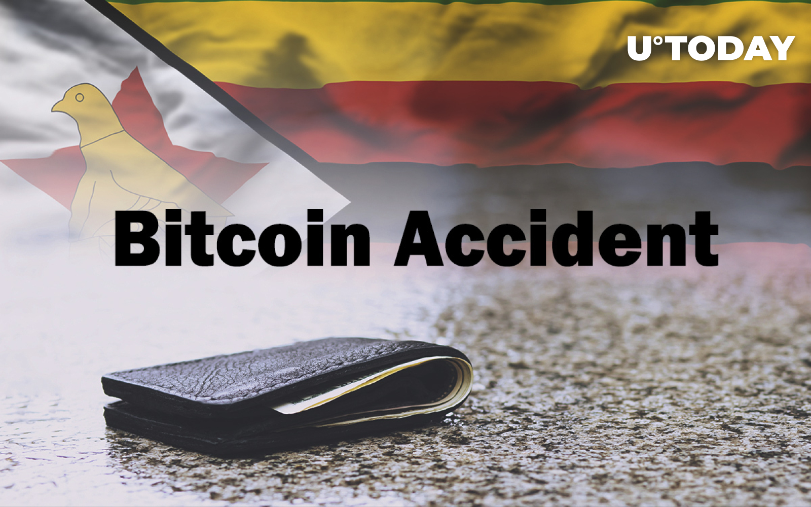 Bitcoin Accident? CEO of Zimbabwean Crypto Exchange Dismisses ...