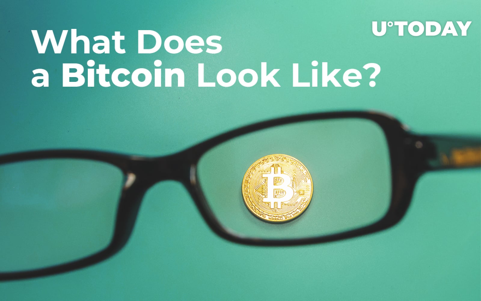 What Does a Bitcoin Look Like? A Detailed Insight into the Technology ...