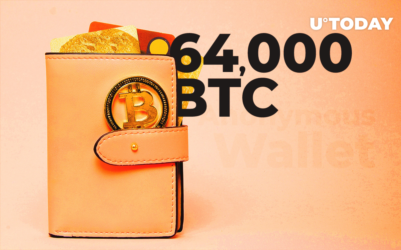 64,000 BTC Accumulated on Anonymous Wallet After a Few Wires from Major ...