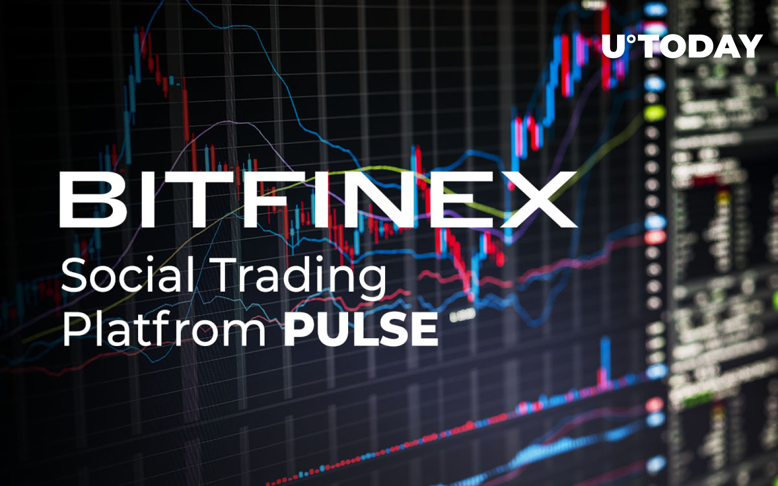 Bitfinex Launches Social Trading Platform Pulse: Details - U.Today