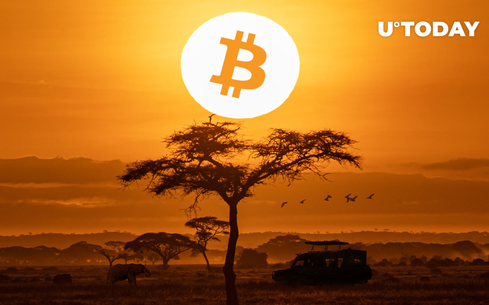 Bitcoin Trading Sees Explosive Growth in Africa in 2020 - U.Today