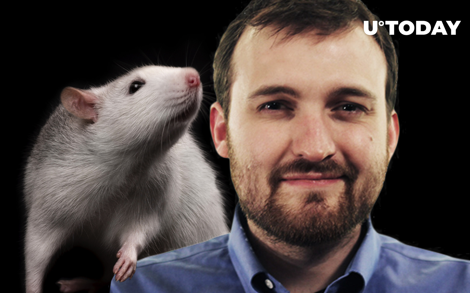 Charles Hoskinson Calls Himself "King of the Rats" as Adam Back Says He ...