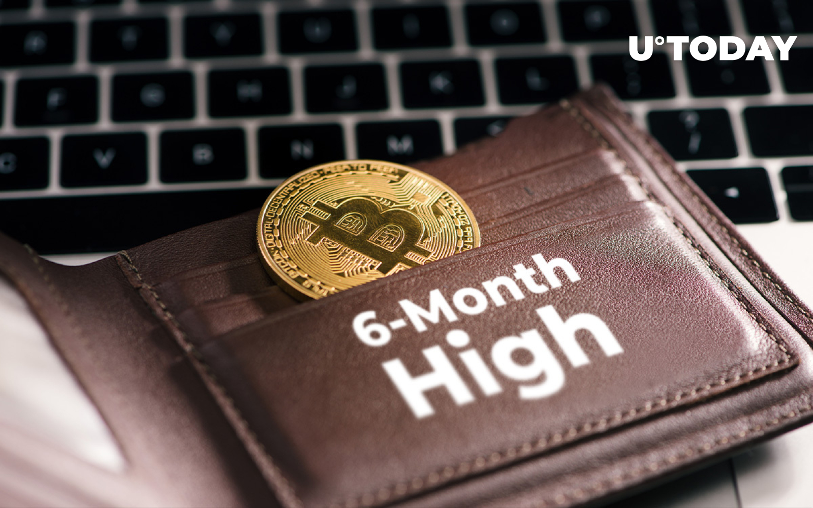 Number of Bitcoin Wallets with 100+ BTC Hits 6-Month High: Analytics ...