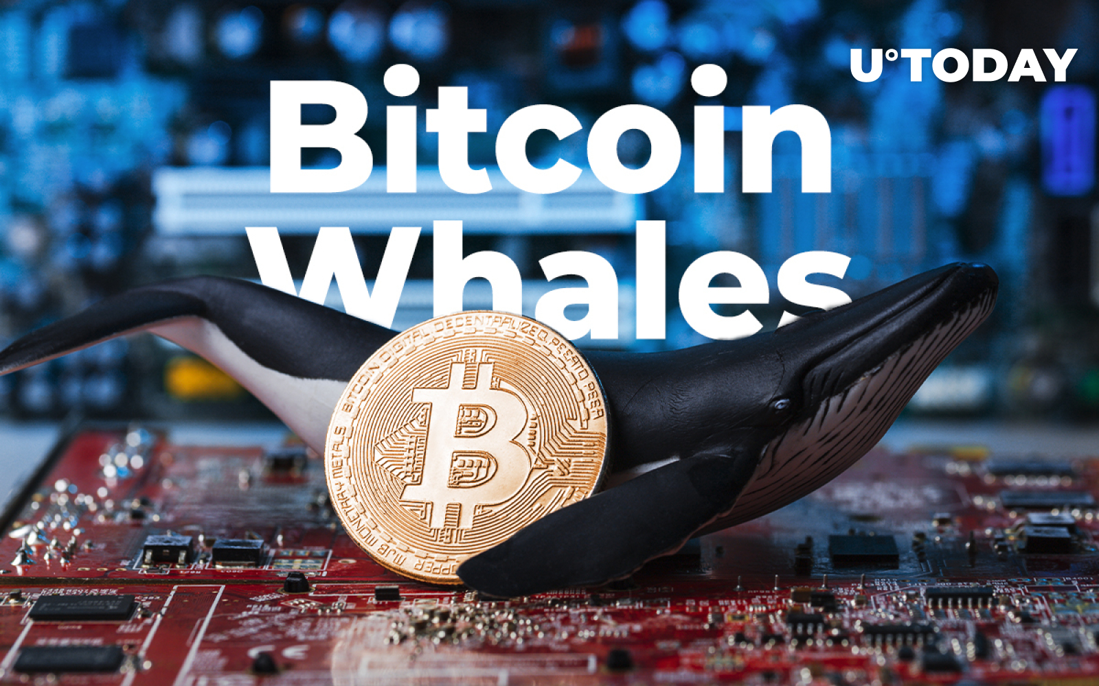 Bitcoin Ownership Getting More Centralized - U.Today