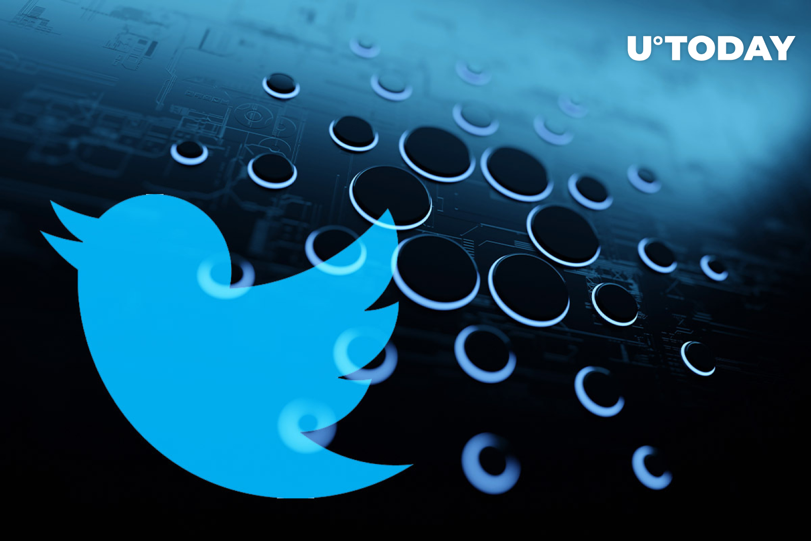 Cardano Creator Finally Gets Verified by Twitter After Threatening to ...