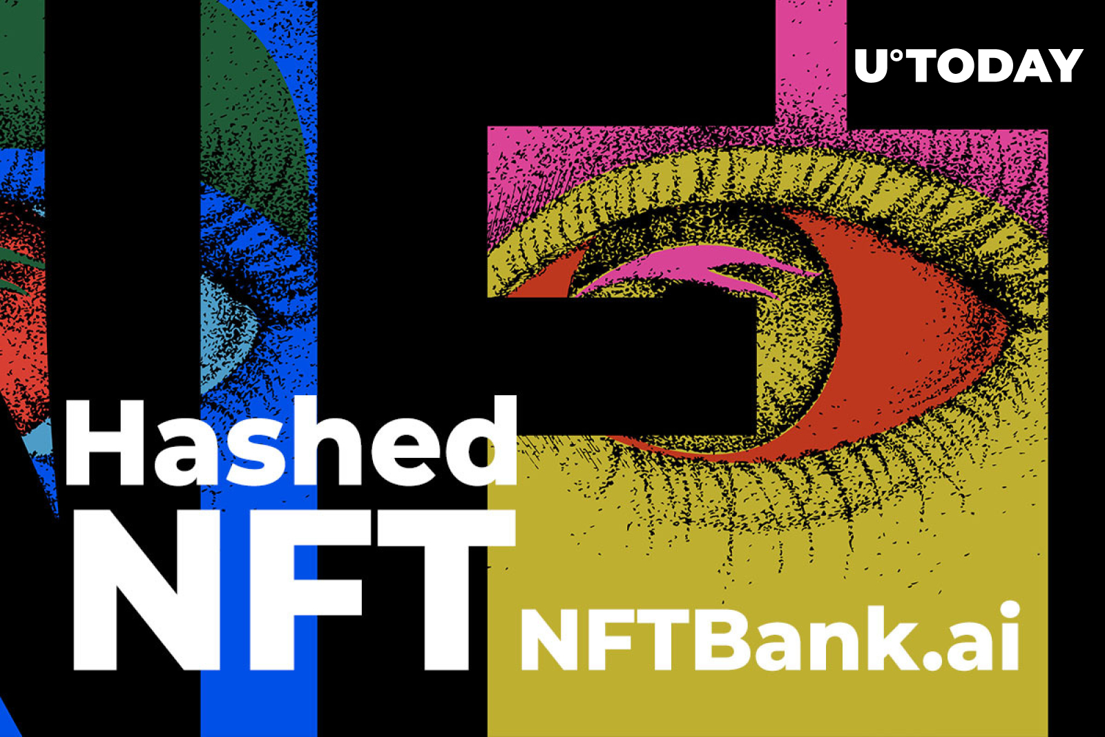 Hashed Supports NFT Portfolio Management Platform NFTBank.ai: Details ...