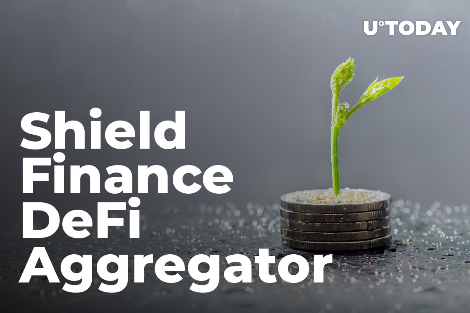 Shield Finance (SHLD) DeFi Insurance Aggregator Raises $780K in ...