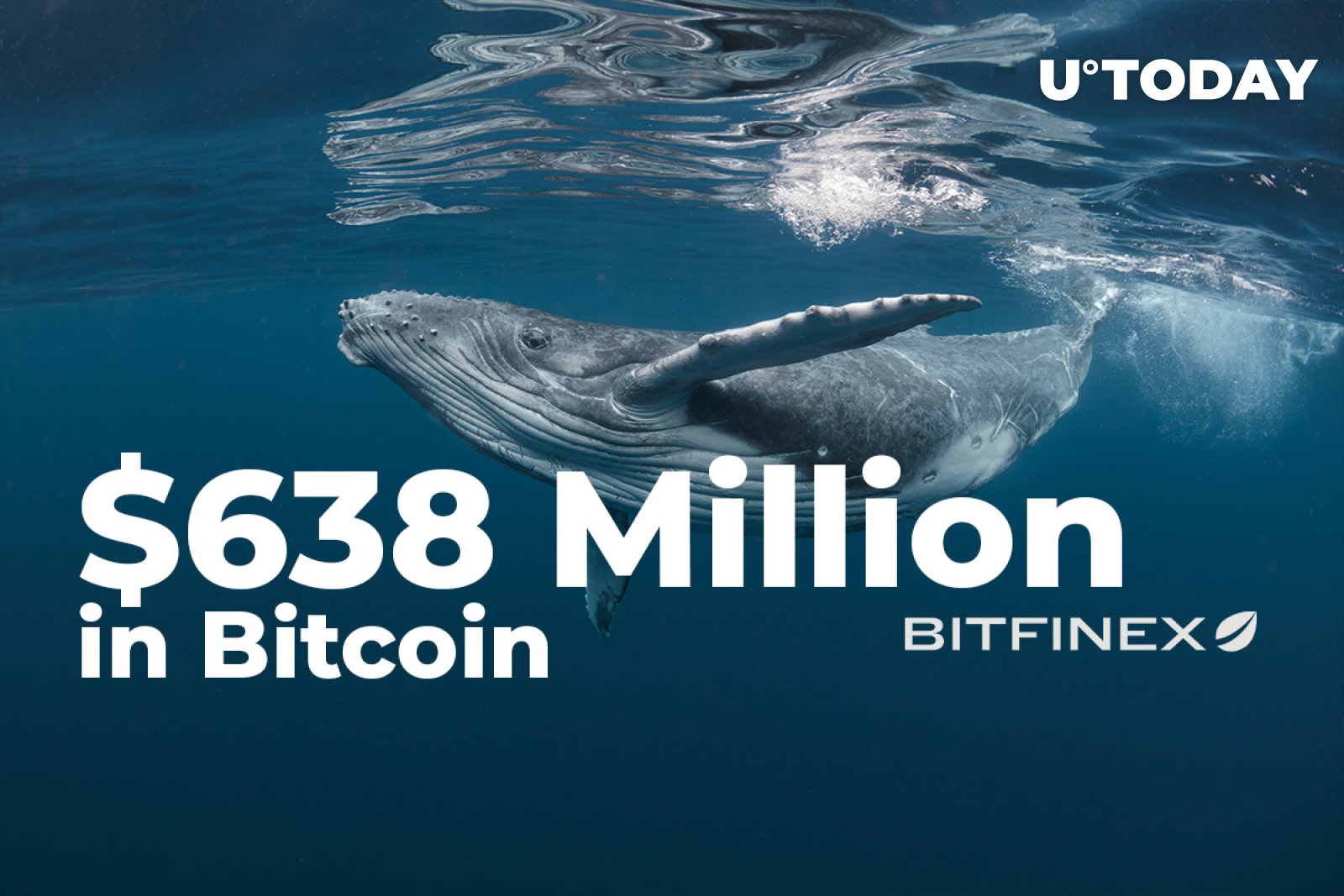 Anonymous Whale Moves $638 Million in Bitcoin from Bitfinex: Details - U.Today