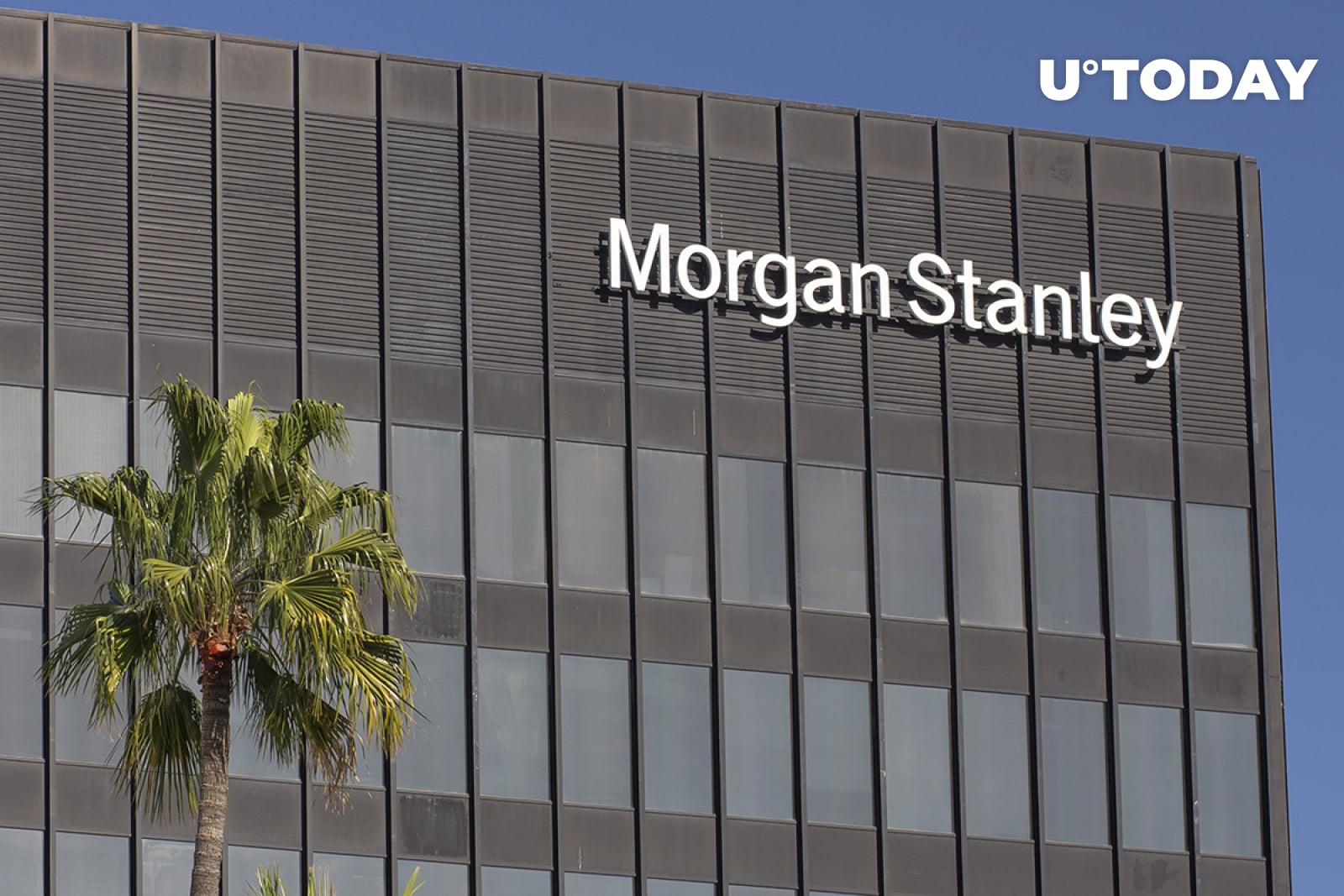 Morgan Stanley Co-Leads $48 Million Investment in Robinhood-Like ...