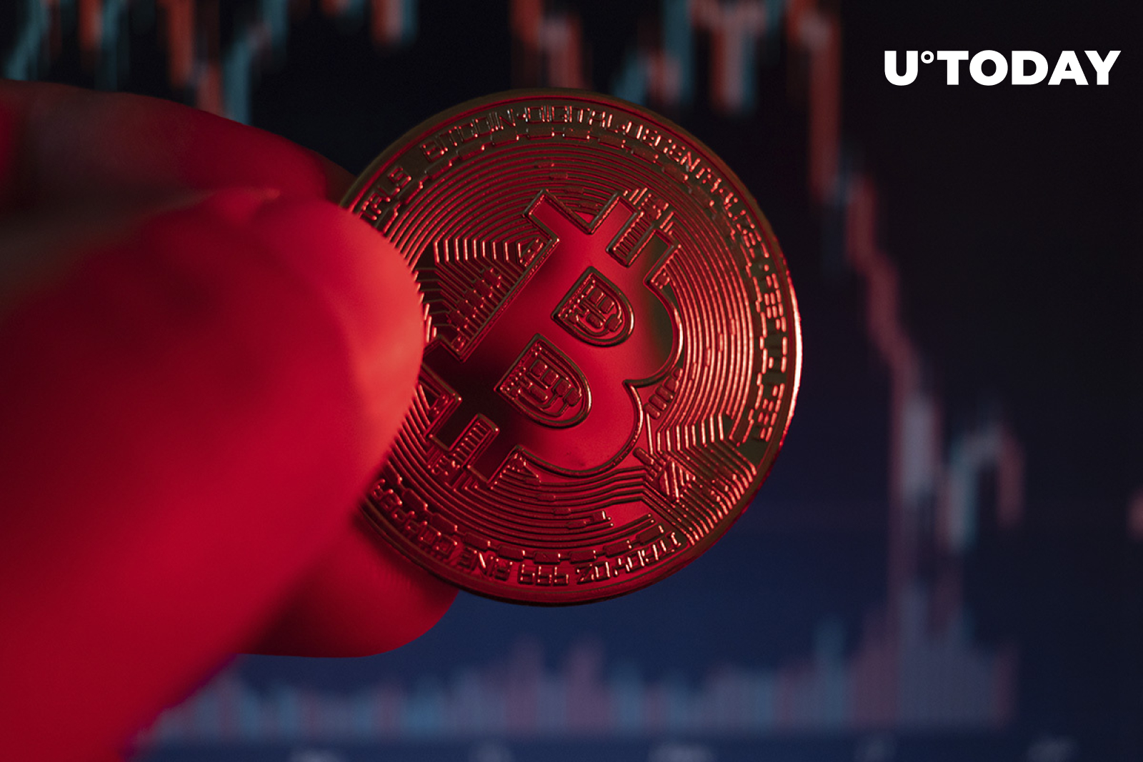 Bitcoin (BTC) Witnessed Highest Net Realized Profit/Loss in History ...