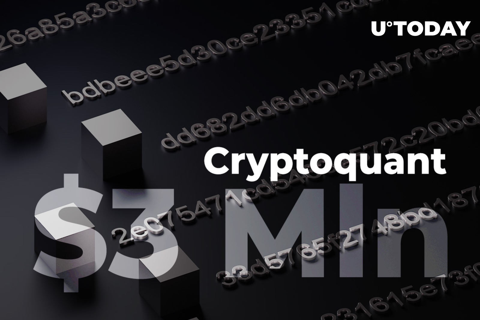 Leading On-Chain Analytics Vendor CryptoQuant Raises $3 Million, Hashed ...