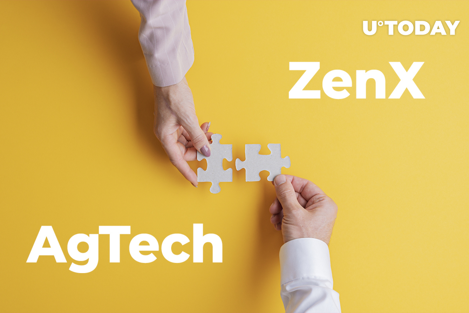 Blockchain AgTech Innovators Dimitra Join ZenX Incubator - U.Today