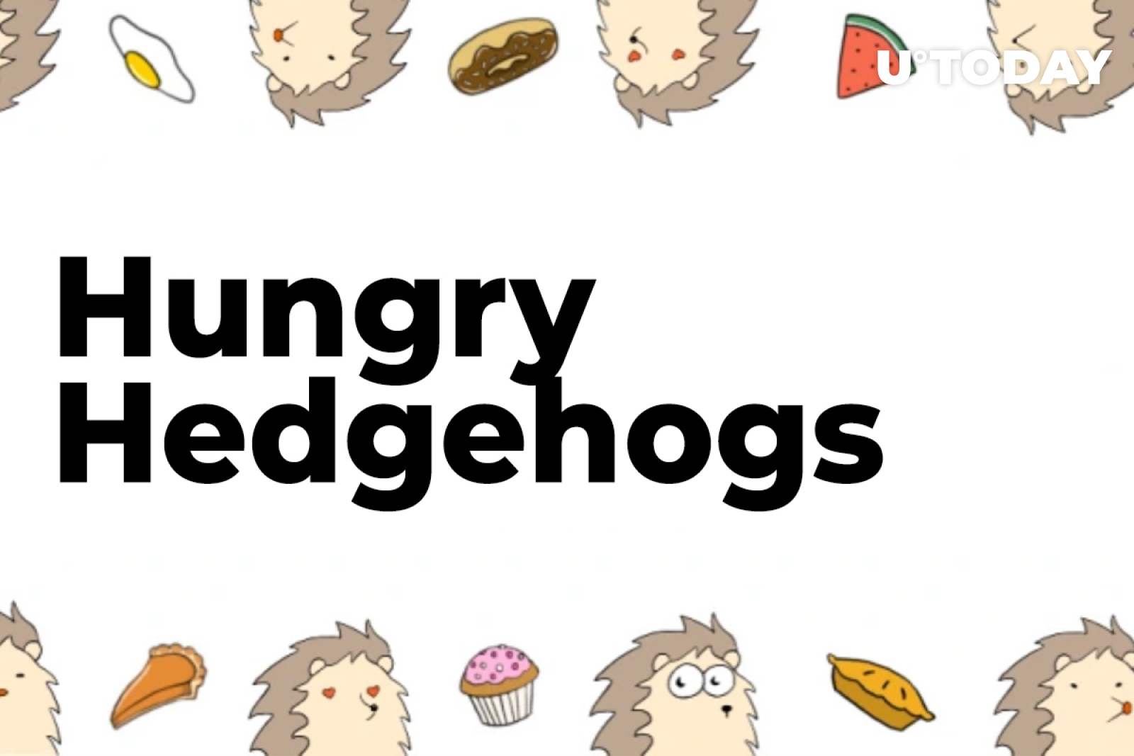 Hungry Hedgehogs NFT - a Collector’s Dream for Virtual and Physical ...