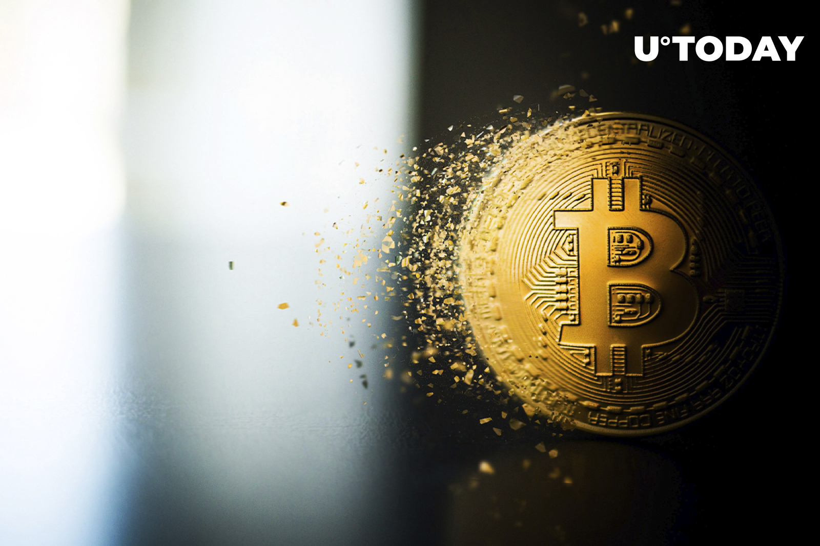 Economist Steve Hanke Names Reasons Why Bitcoin Likely to Crash After ...