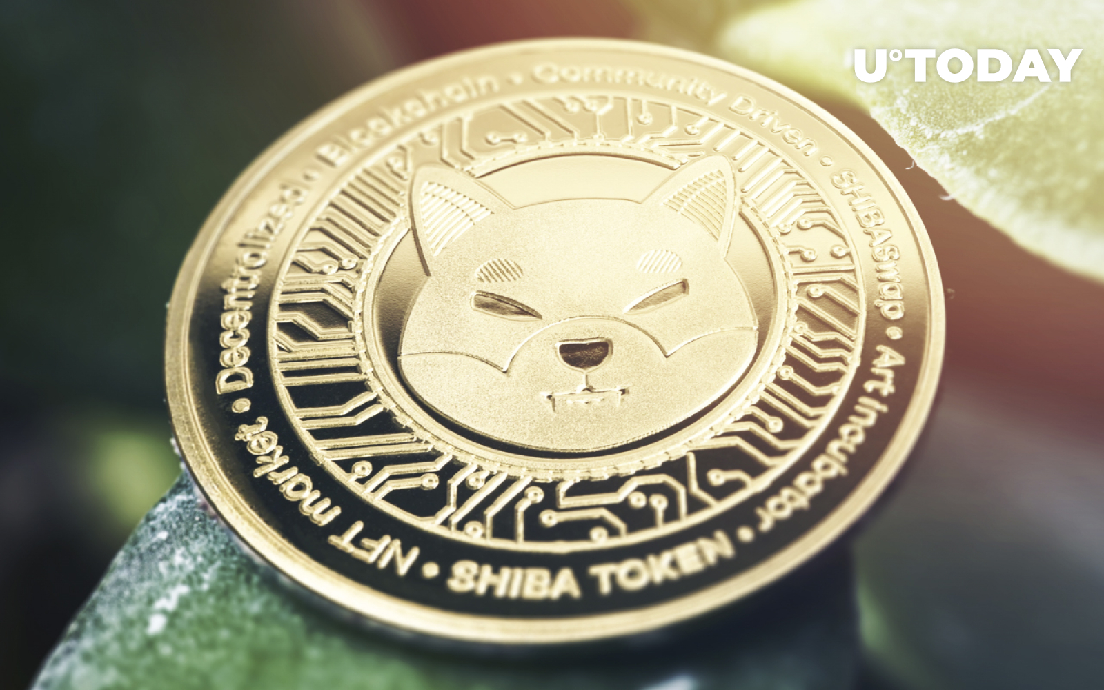 Here's When Shiba Inu Will Be Added to AMC's Crypto Payment Lineup