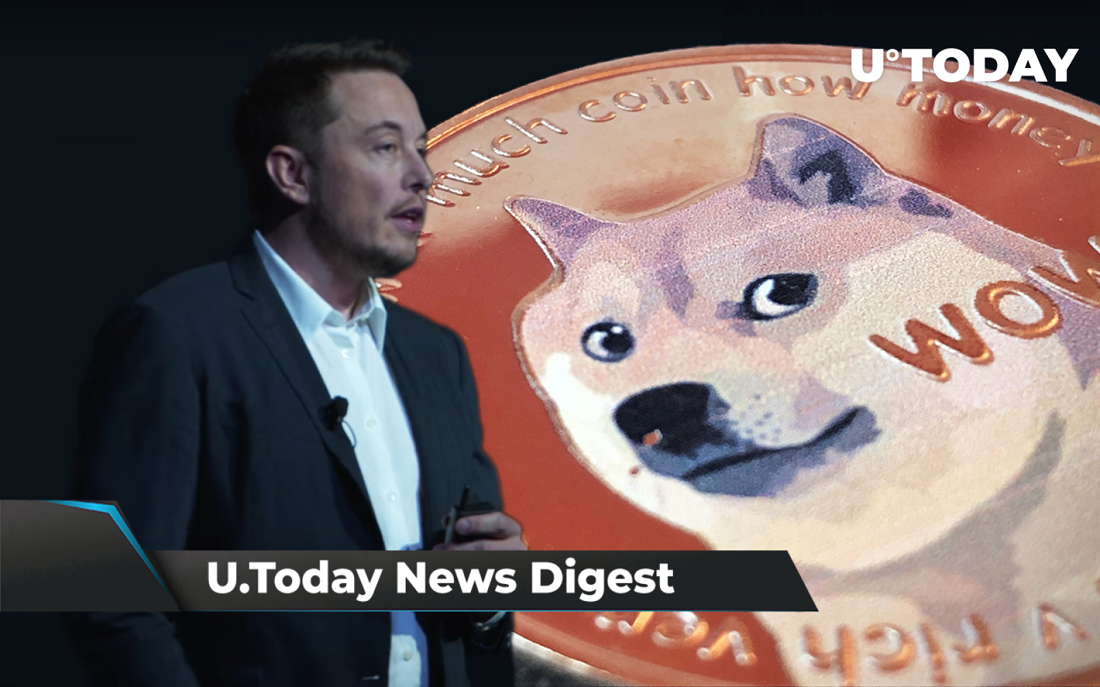 Musk Named New Fake Board Chairman of Dogecoin, SHIB Network Activity ...