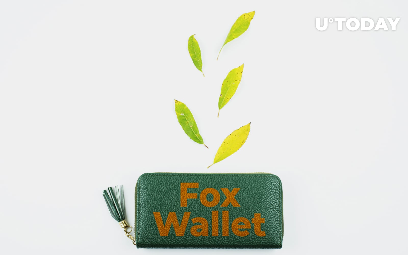 First-ever Decentralized Wallet for Filecoin Ecosystem: Introducing Fox ...