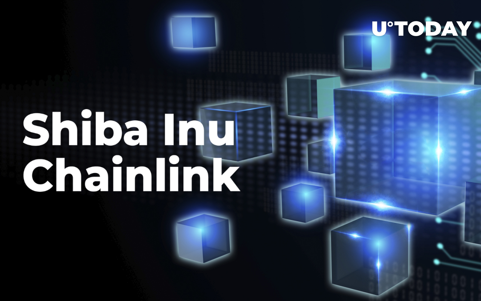 Shiba Inu, Chainlink Among Top 10 Purchased Tokens as Market Volatility ...