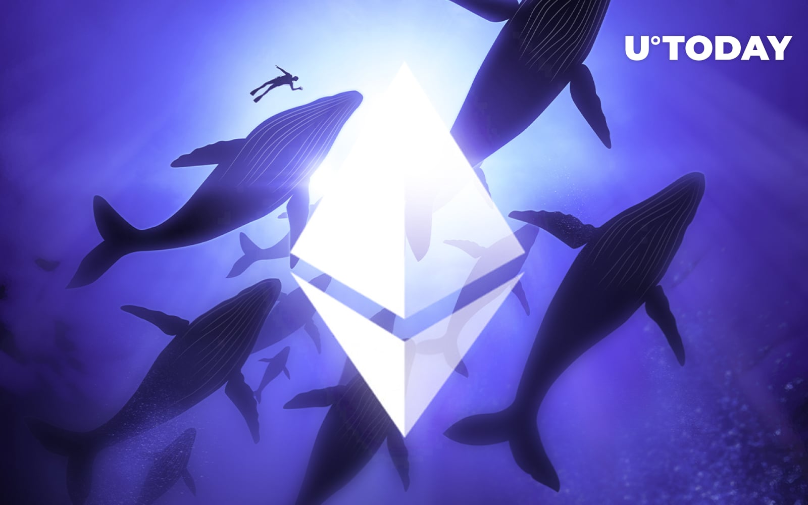 Top 10 Non-Exchange ETH Whales Hold Way More ETH Than Top Exchange ...