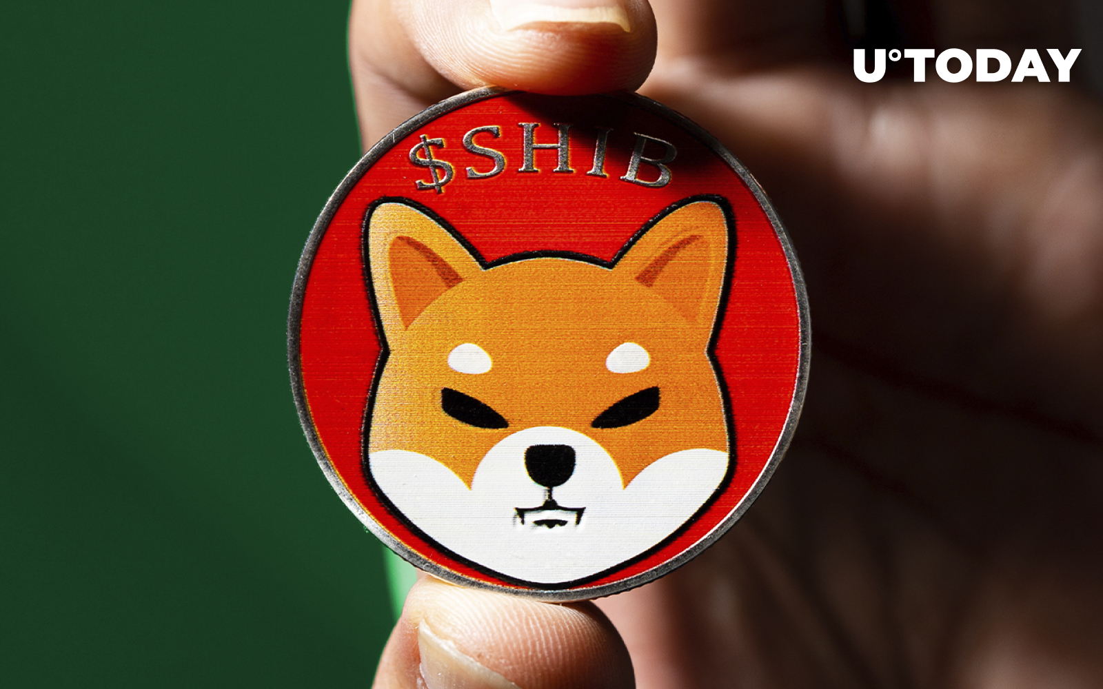 SHIB Spikes 8% as Whale Buys 4 Trillion Shiba Inu Tokens - U.Today