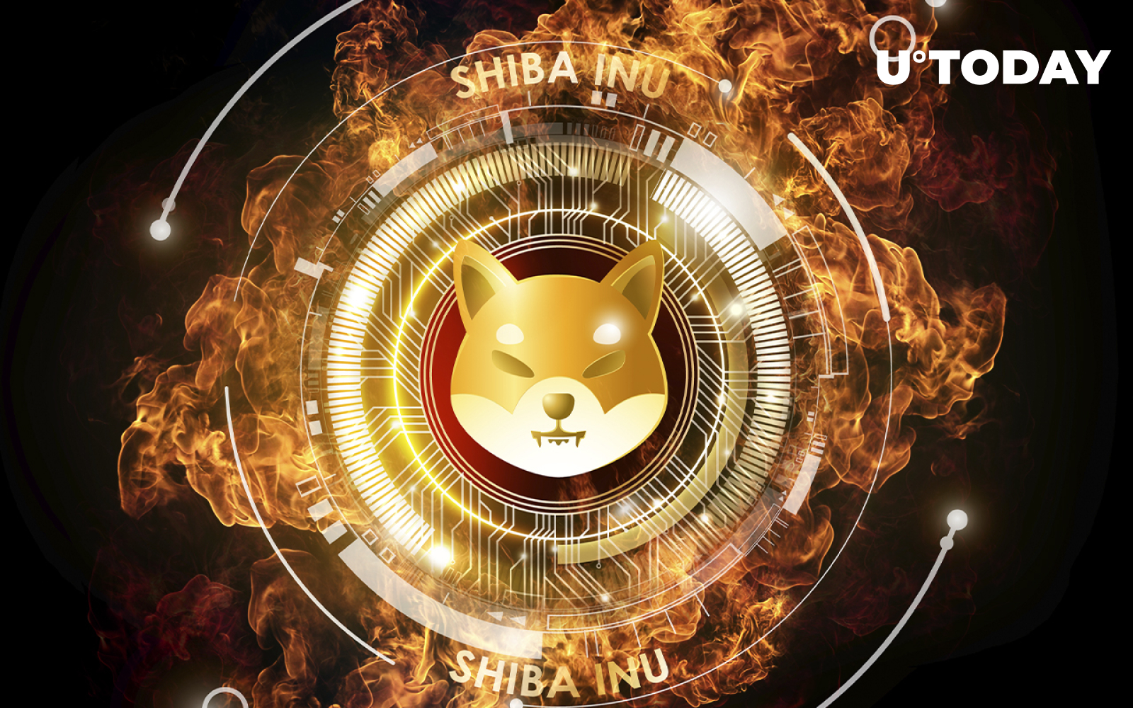 240 Million SHIB Destroyed at Christmas, 880.9 Million Burned Since Mid ...