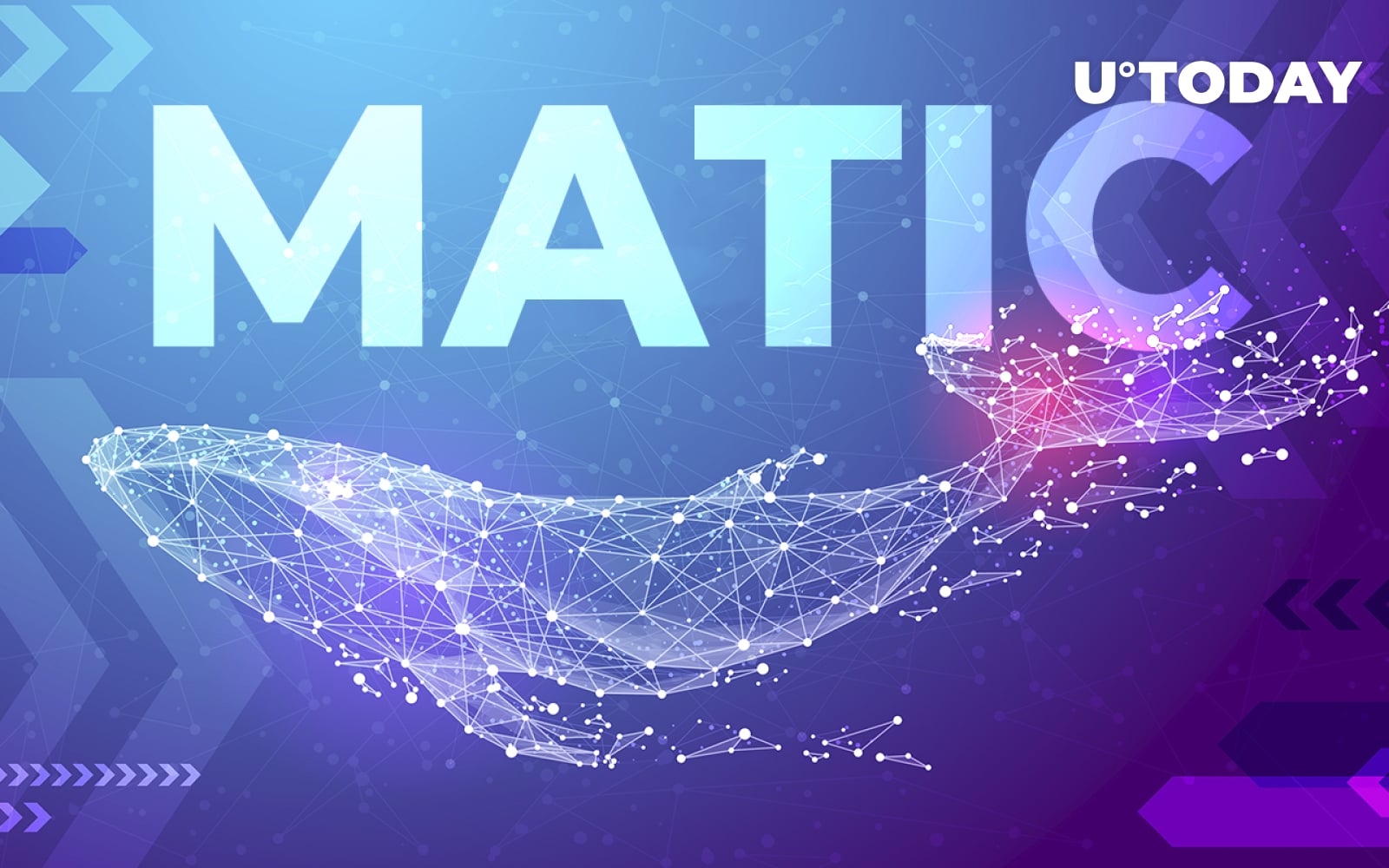 28 Million MATIC Bought and Sold by Whales Over Weekend - U.Today