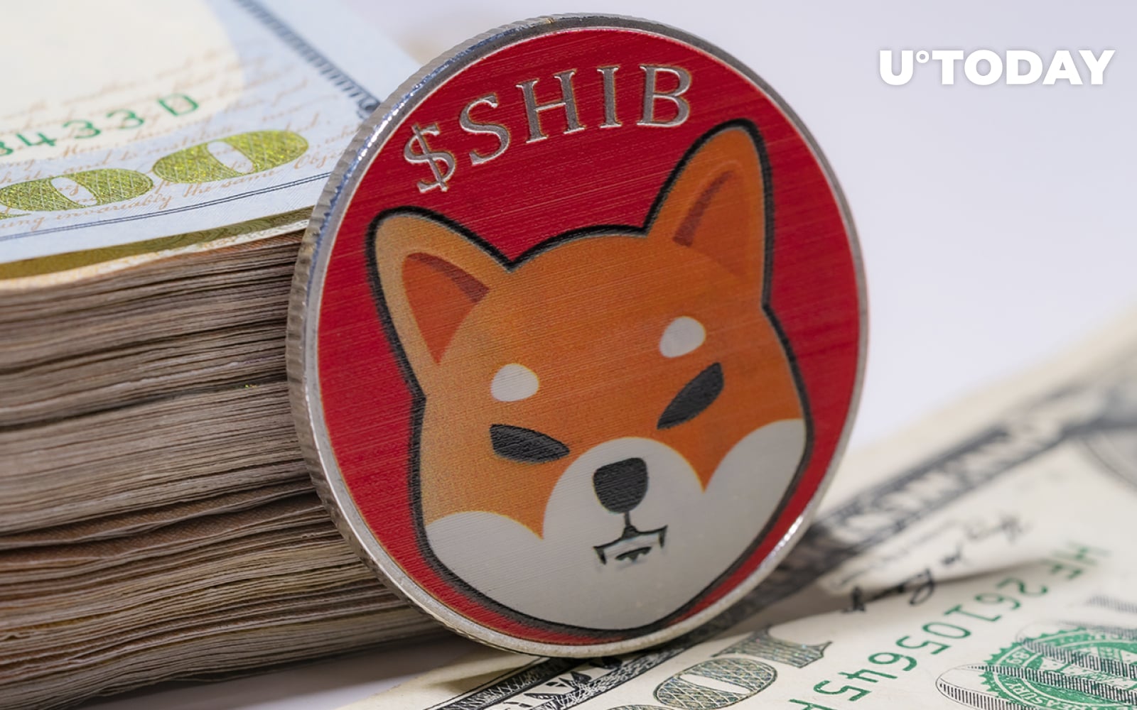 Shiba Inu Is Now Biggest USD Position in Whale Wallets: Details - U.Today