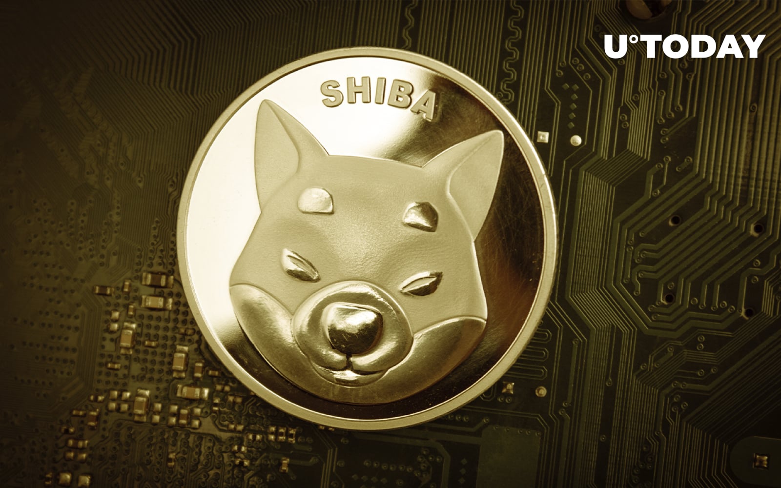 Shiba Inu Becomes One of Most-Purchased Tokens by Ethereum Whales, as ...