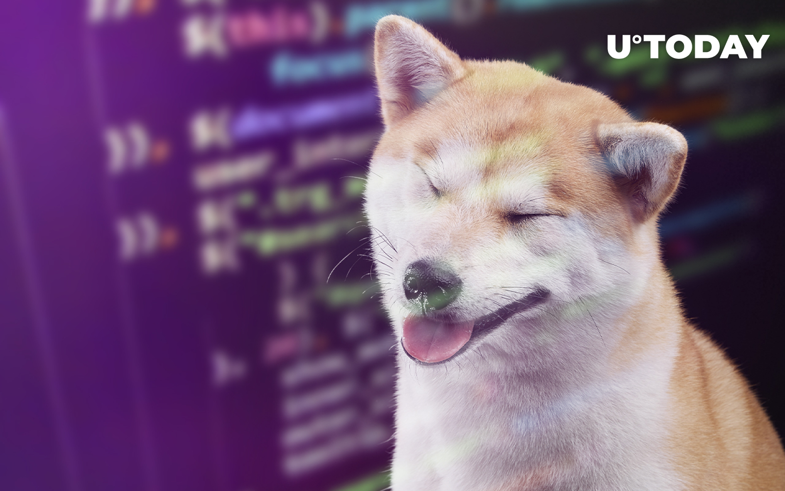 Shiba Inu Dev Teases Big Idea That Might Shake Crypto Space as SHIB ...