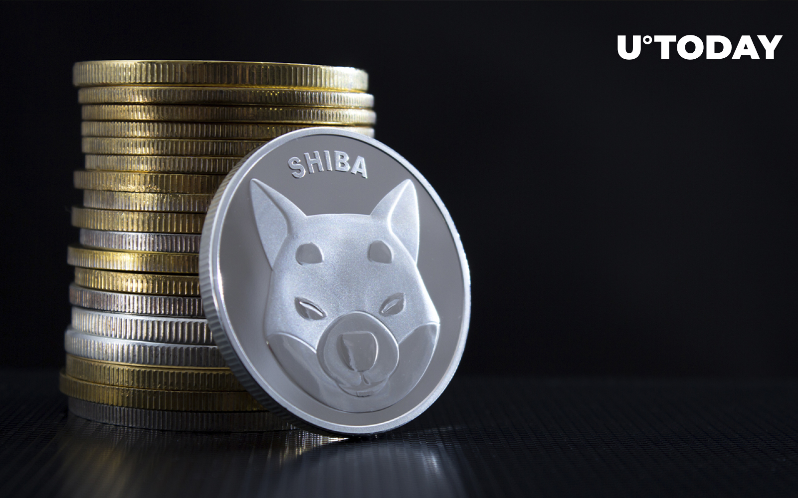 Shiba Inu Holder Count Hits New Highs Amid Price Dip