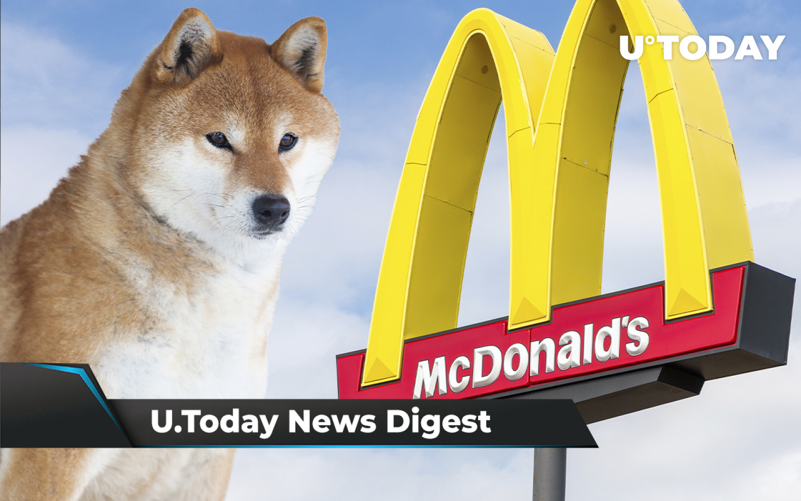SHIB Dev’s Idea Might Shake Crypto Space, McDonald’s Is Urged to Accept ...
