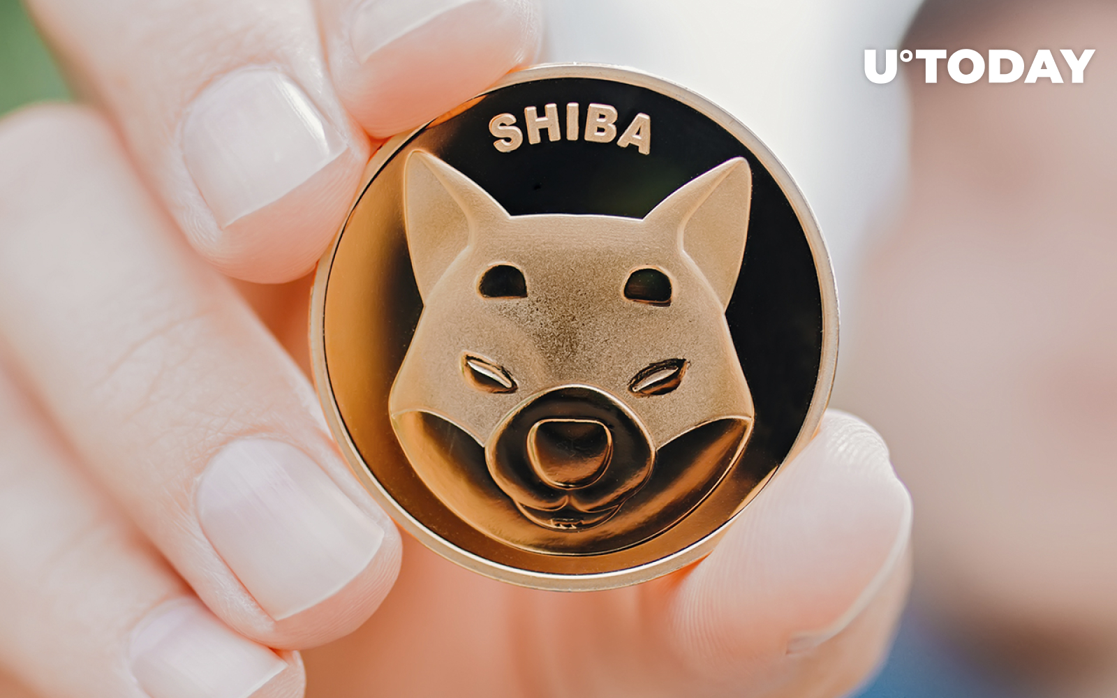 Shiba Inu Price Recovers as SHIB Returns Once Again Among Top 10 Tokens ...