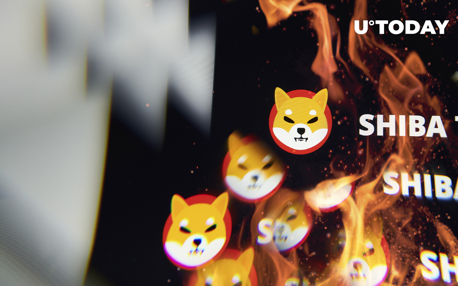 36.8 Million Shiba Inu Burned, While Over 186 Million Will Be Destroyed ...