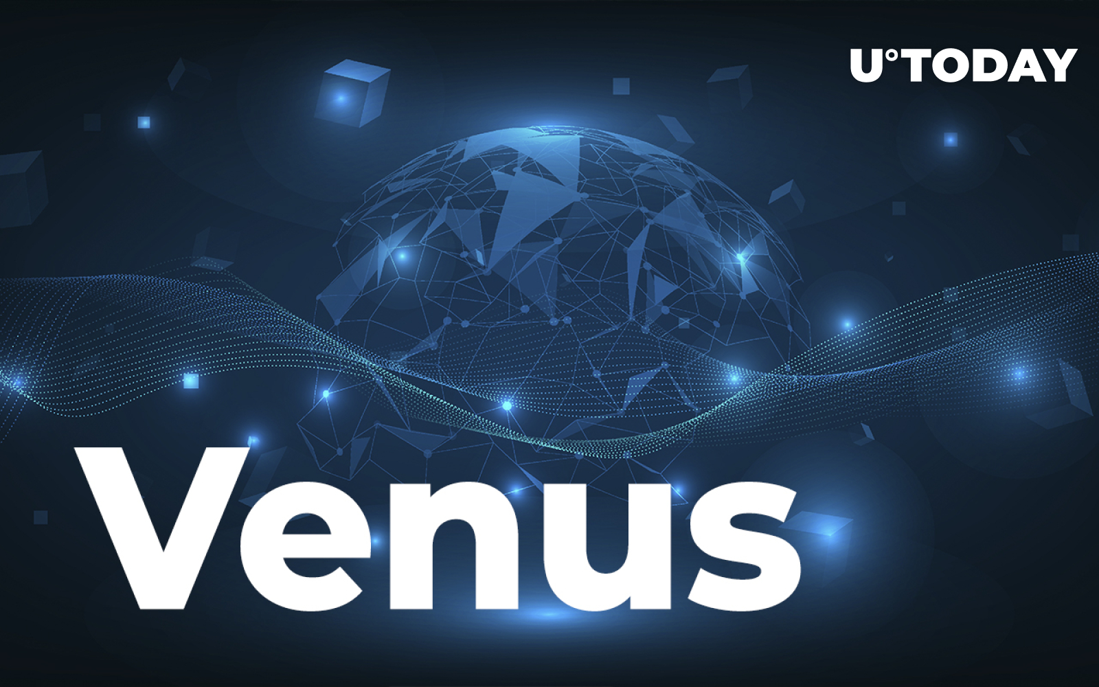 Venus To Launch Grant Programs For Incentivizing Ecosystem Development