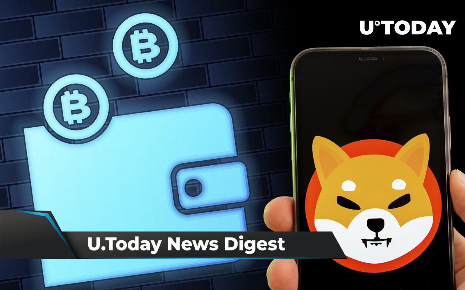 Ancient Wallet with 407 BTC Awakens, Wirex Adds SHIB, Binance Now Has ...