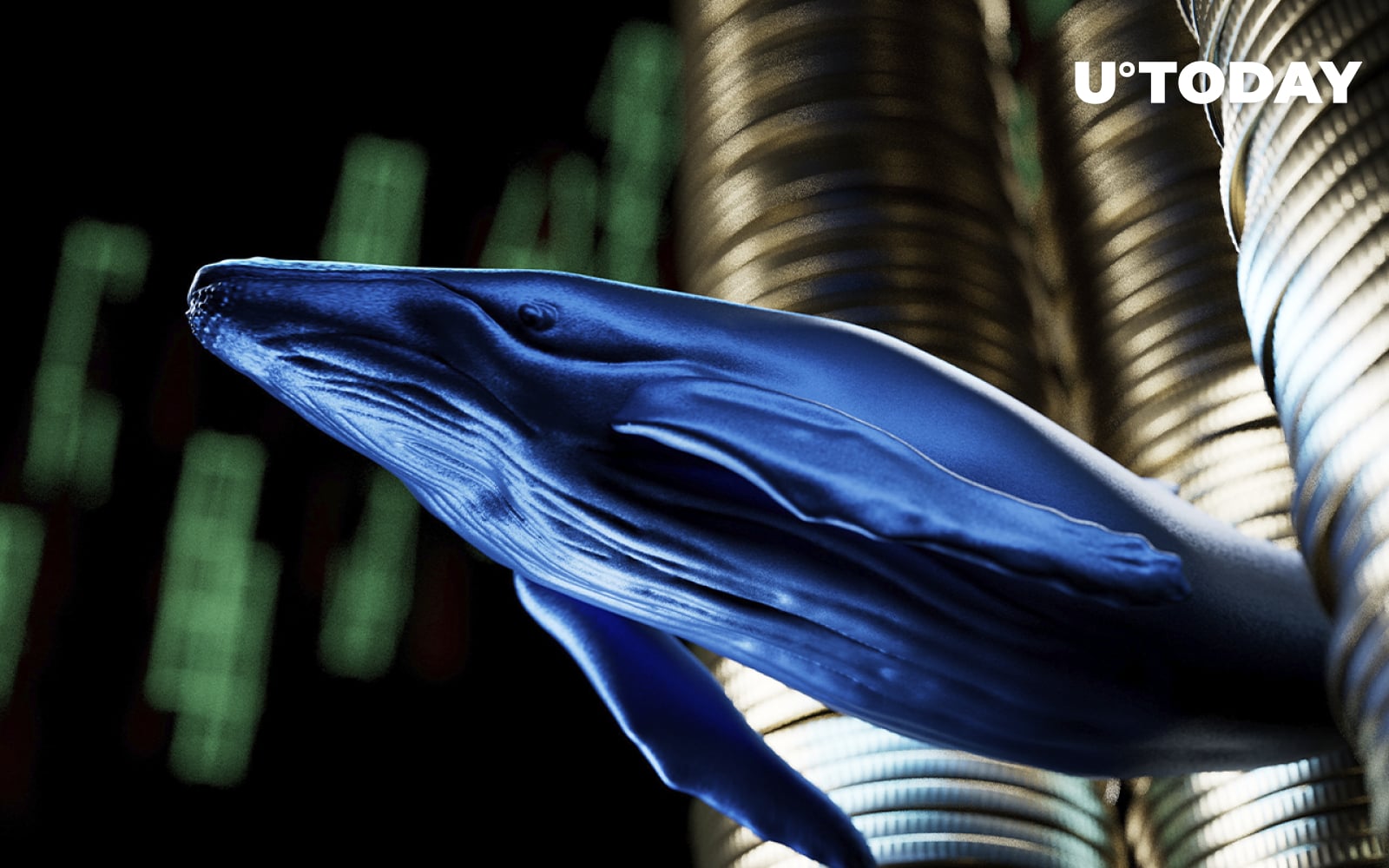 Cardano Whales Become Active as Price Attempts Rebound: Details - U.Today