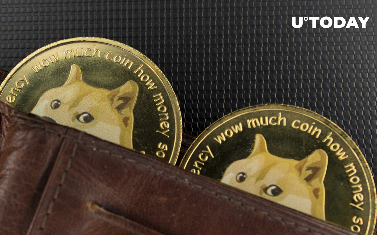 Grayscale Founder Teases Dogecoin Community in Recent Tweet: Details ...