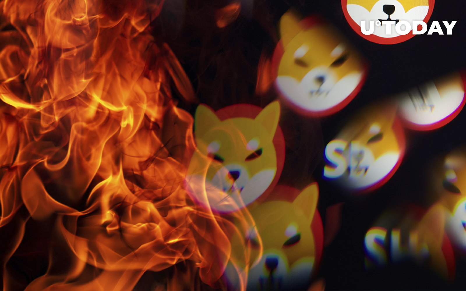 190 Million Shiba Inu Burned Within 24 Hours As SHIB Prints Massive ...
