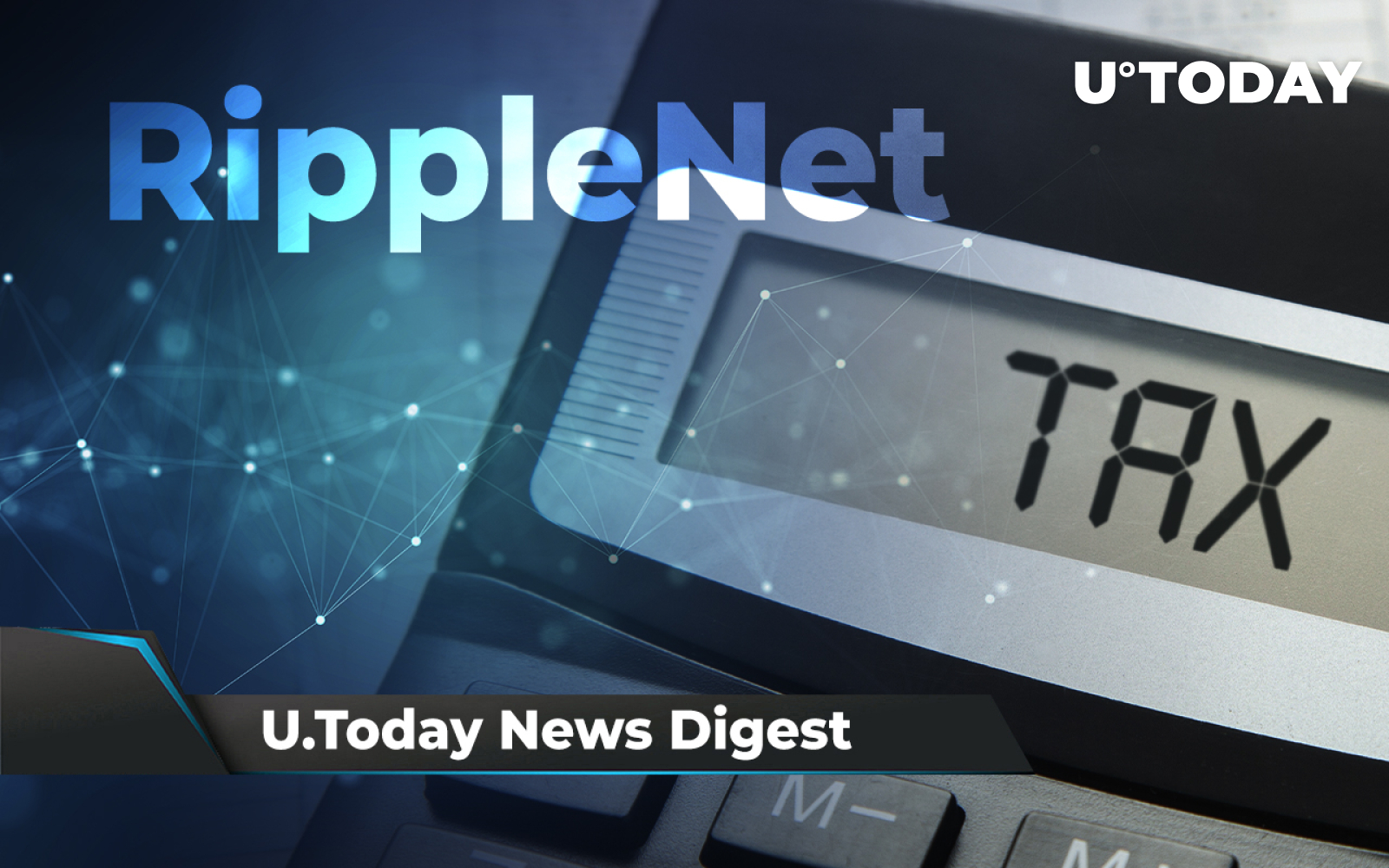 Ripple Partner Launches Corridor on RippleNet, Businesses in Florida ...