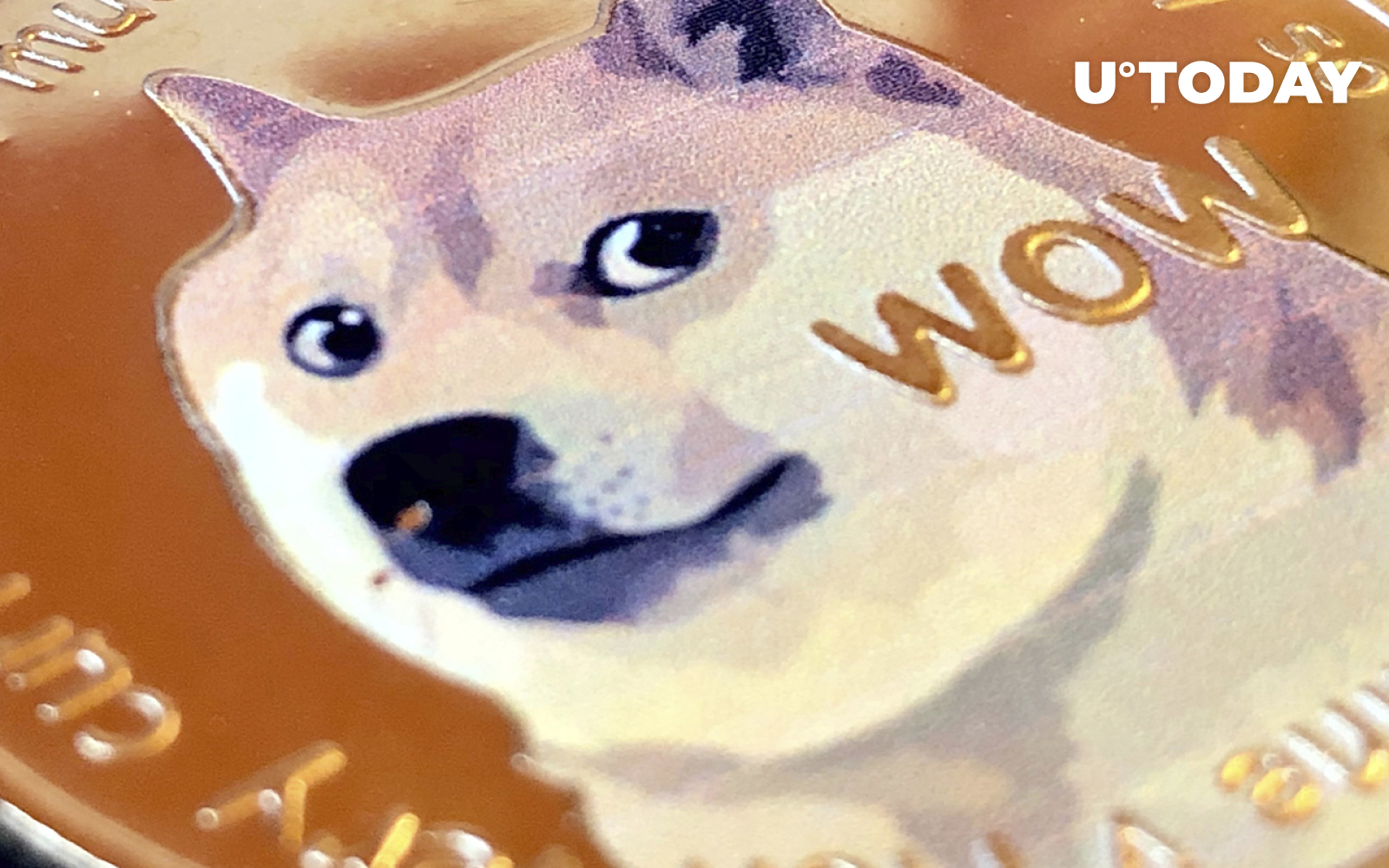 $40 Million Worth of Dogecoin Held by Top BSC Whales - DOGE Loses to ...
