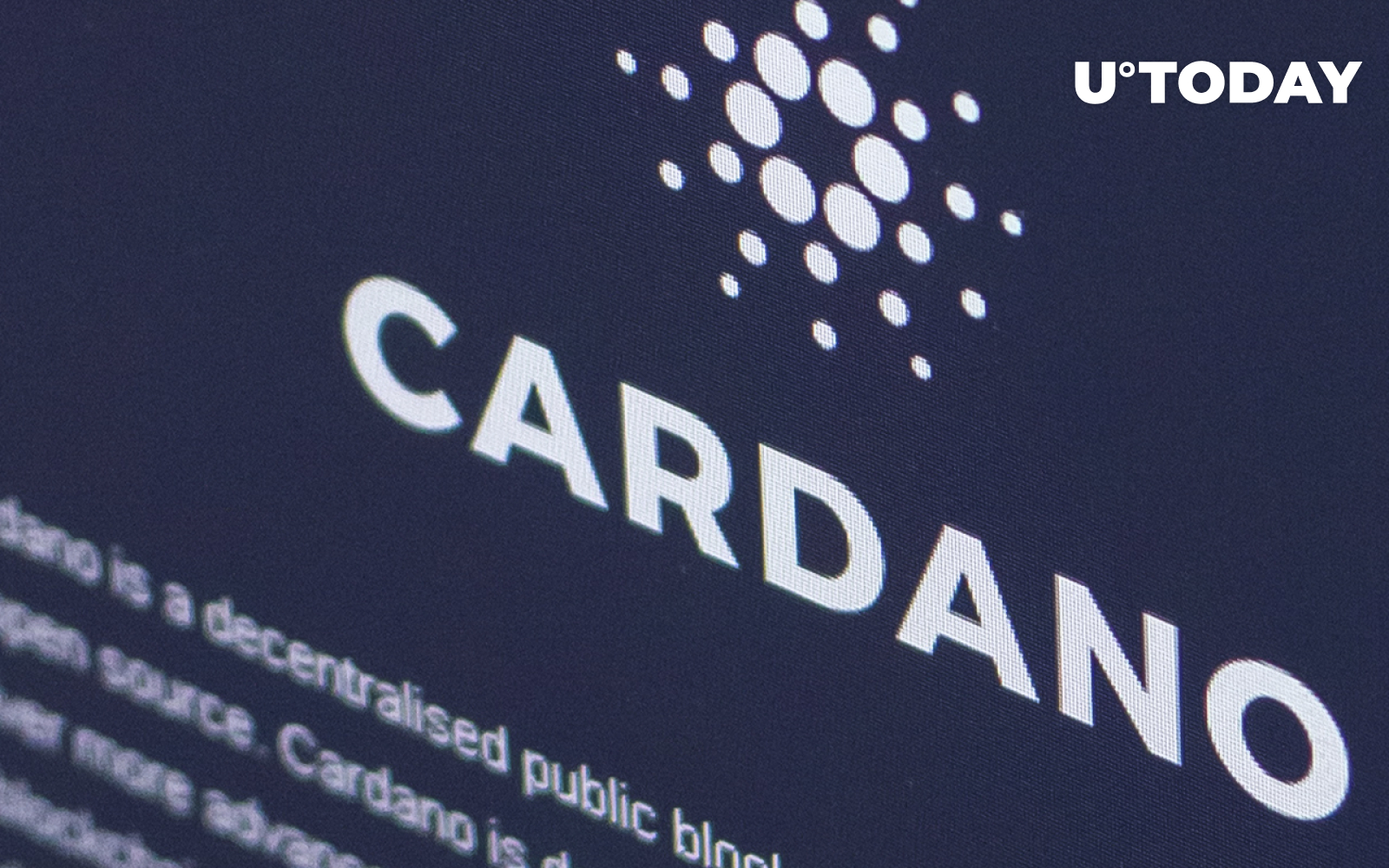 Cardano Attracts More Institutional Investors as On-Chain Transaction ...